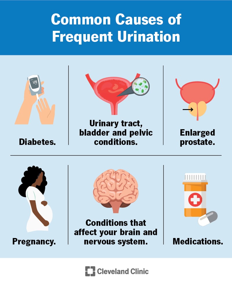 Why Do I Pee Every 2 Hours At Night? Exploring Nocturnal Urination Patterns Why Do I Pee Every 2 Hours At Night? Exploring Nocturnal Urination Patterns